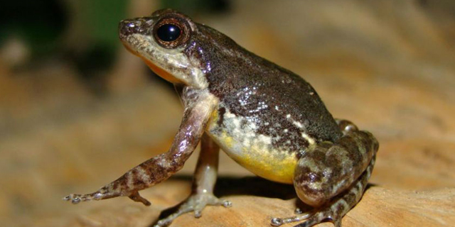 Noticias en Positivo