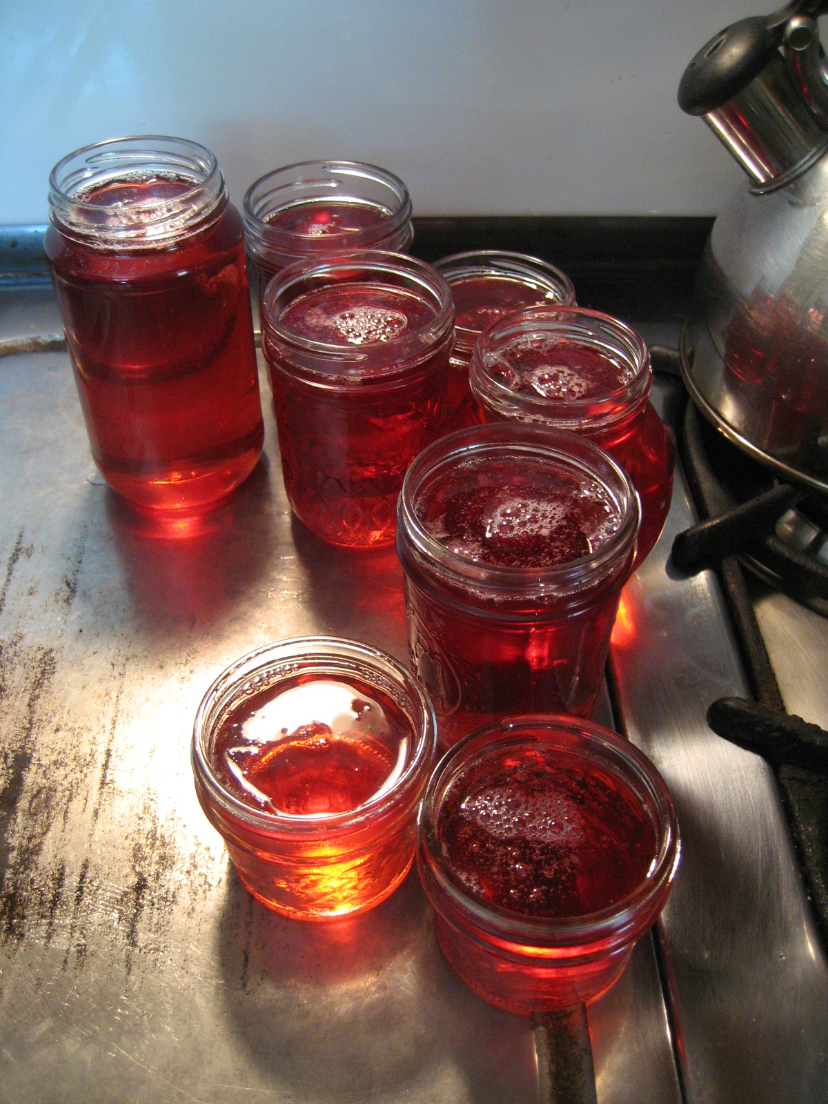 Homemade Trade: Plum Jelly Making with Mom