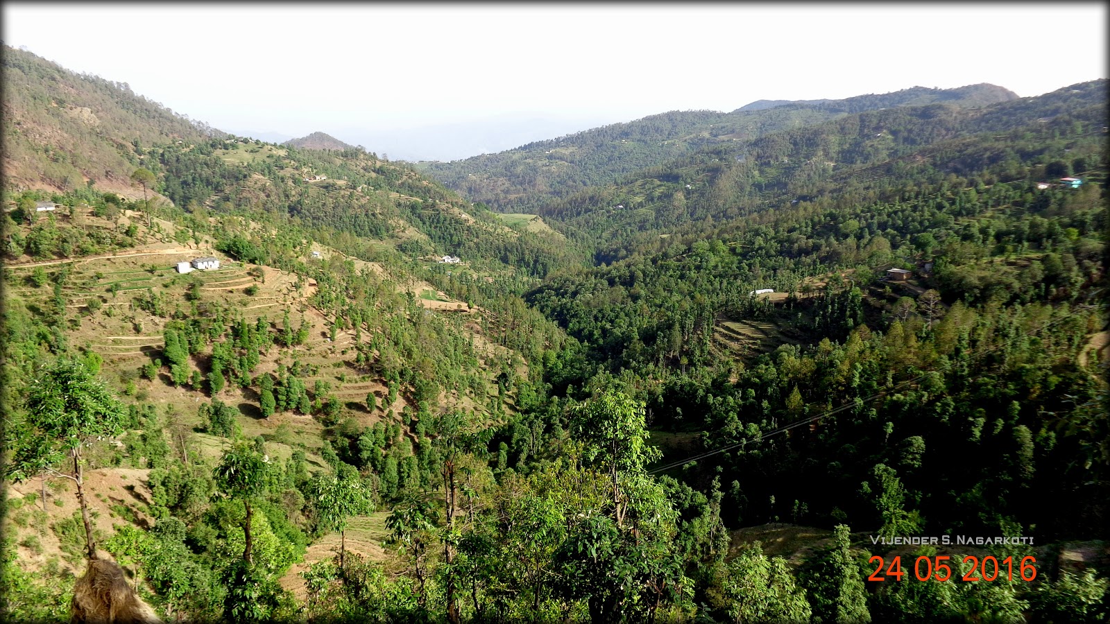 Uttarakhand Tourism: Dwarahat Dunagiri & Pandavkholi Photos