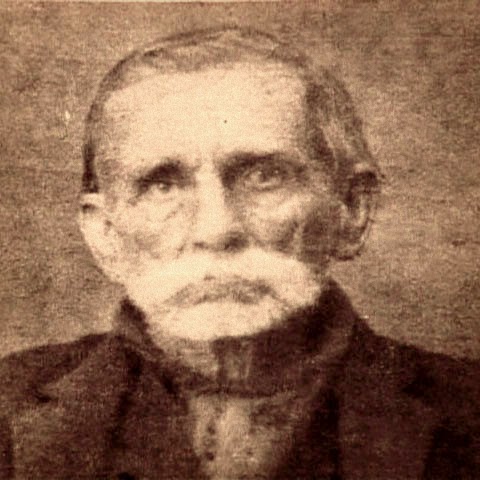 História em Séries: Hatfields & McCoys | A rivalidade sangrenta entre ...