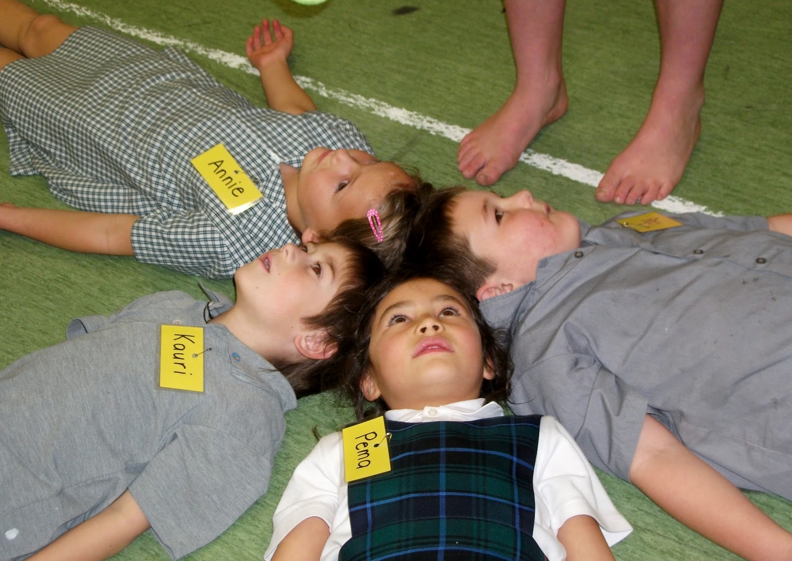 Amuri Area School: PMP for the Junior School