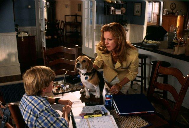 Film Guru Lad - Film Reviews: Cats & Dogs Review