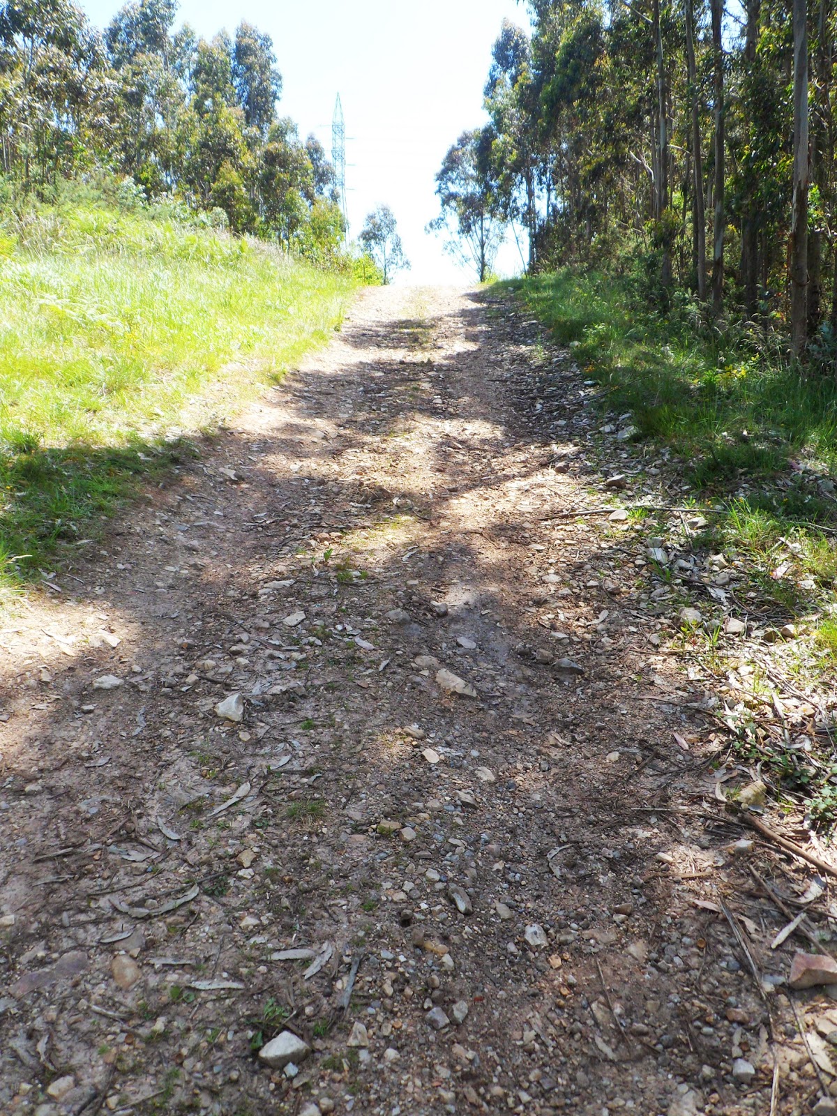 Senda BTT: Apeadero FEVE de Avilés - Embalse de Trasona - Monte'l Pando ...