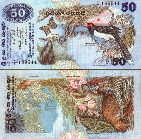 joseph scissorhands: Butterfly Banknotes