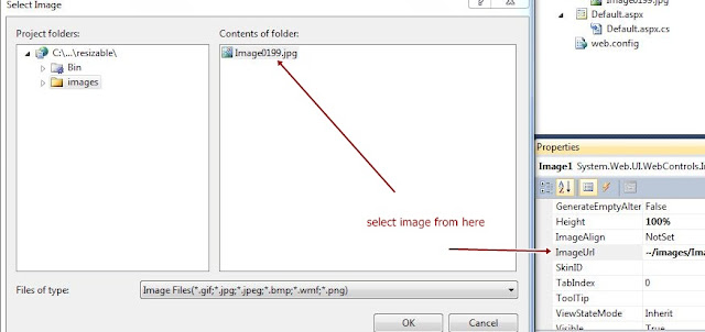 How to Use ResizableControlExtender Control on Your Asp.Net Website ...