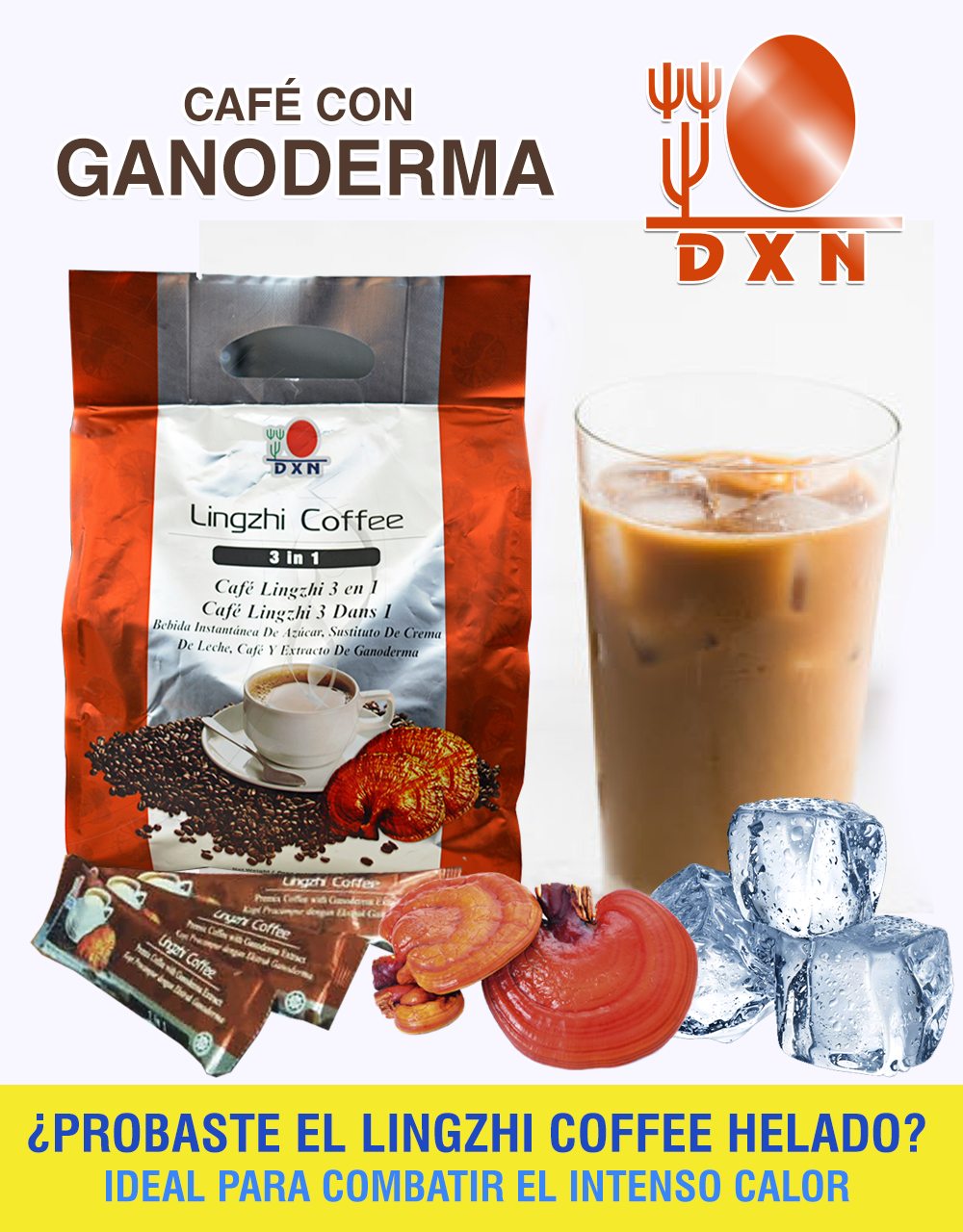 LISTA DE PRODUCTOS DXN ~ DXN Productos con Ganoderma Lucidum ...