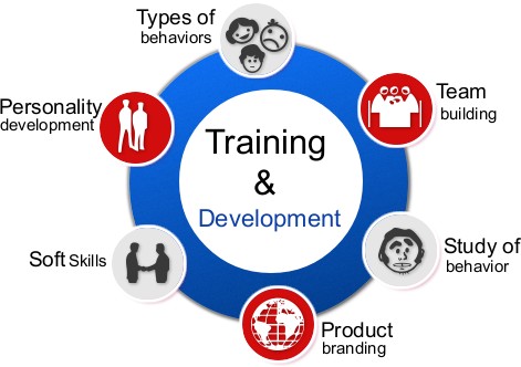 Importance of Training and Development in the work Place