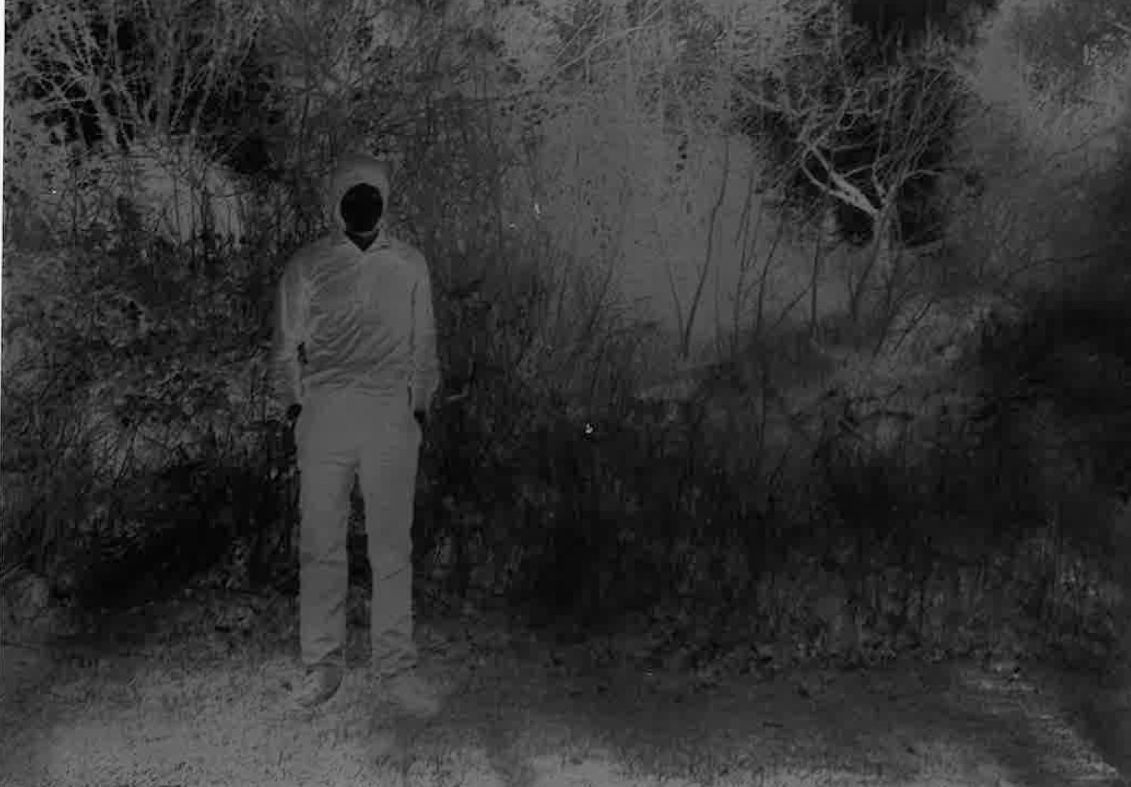 Lauren Carr: Dark Room Experiments.