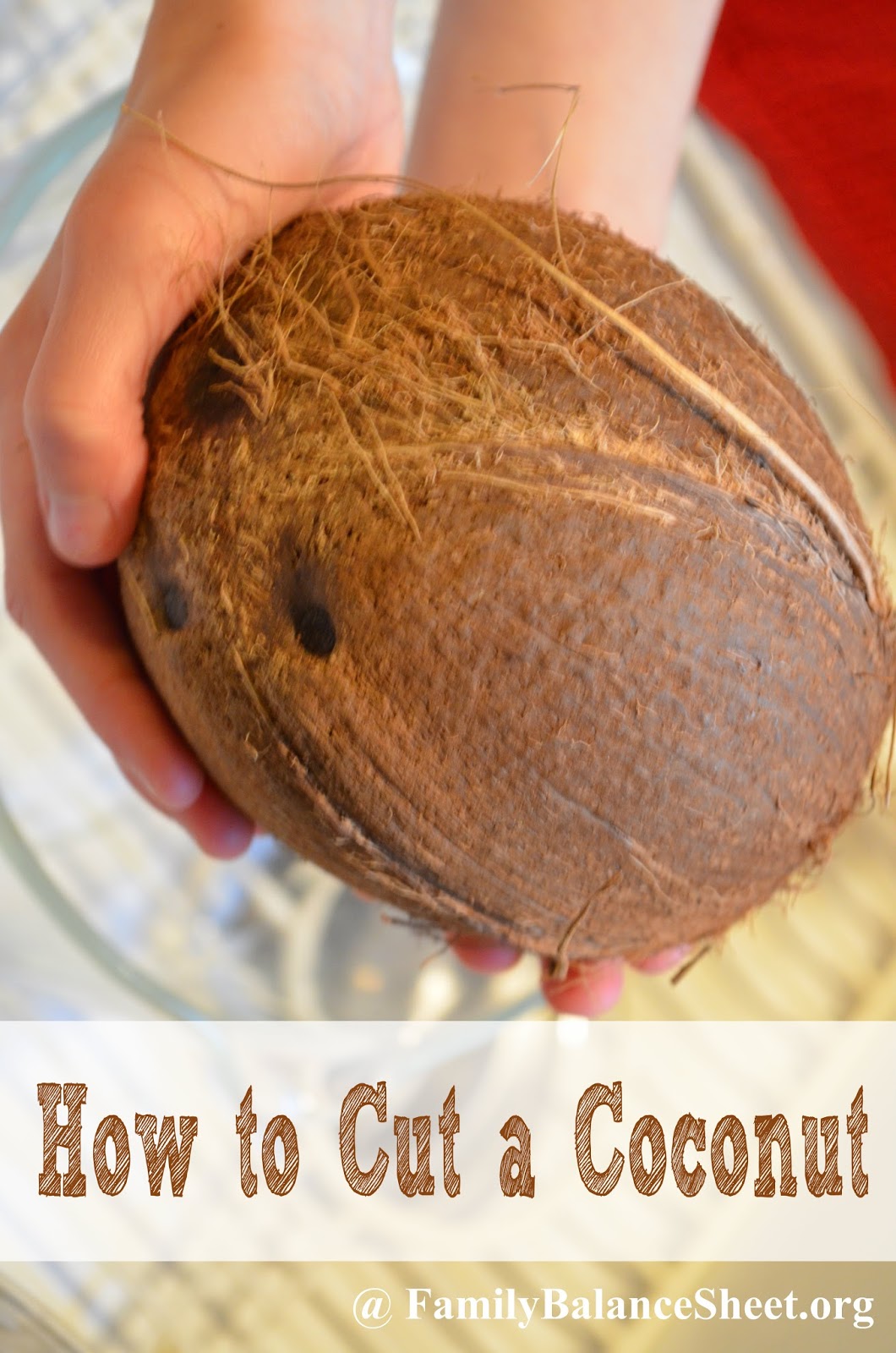 Family Balance Sheet How To Cut A Coconut Family Balance Sheet How To Cut A Coconut