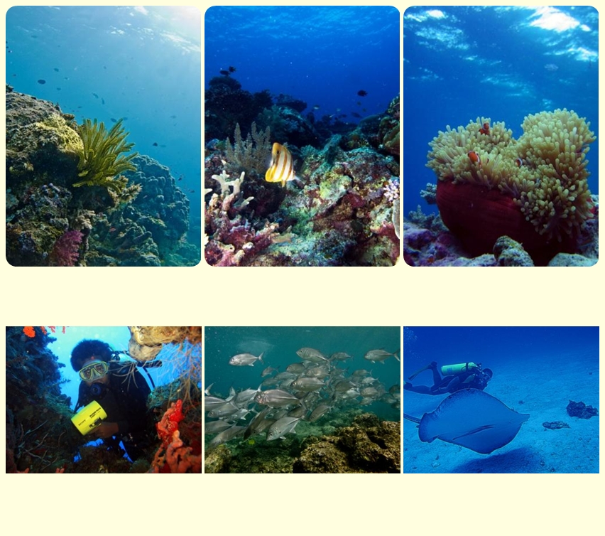 Selayar Heavenly Park: Taman Laut Nasional Taka Bonerate