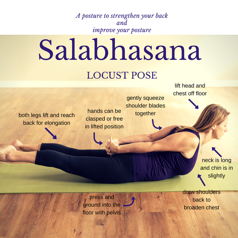 Shalabhasana Locust Pose Benefits at Gail Gaskell blog