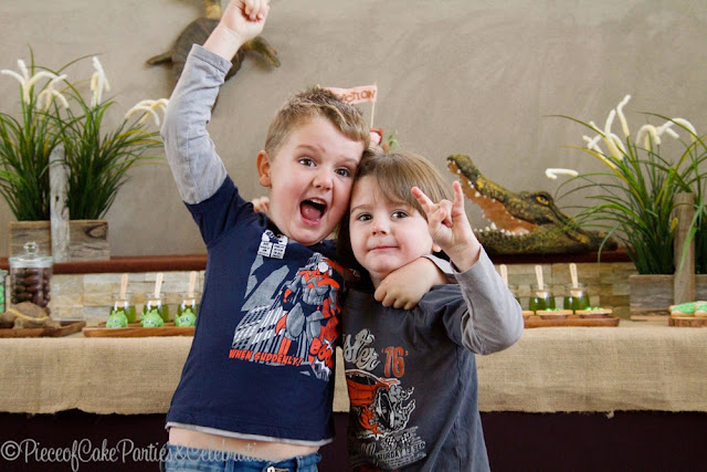 Piece of Cake: Declan's 4th Birthday - Turtleman & Gator Boys Theme