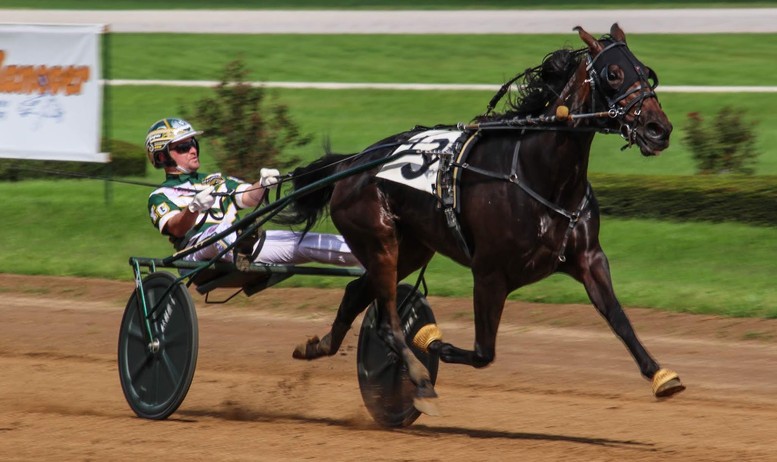 Harness Racing in the UK: March 2019