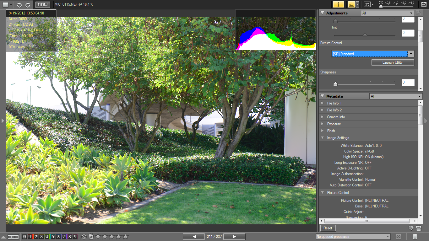 Better Family Photos: Nikon D600 Hands-On Review (Part 1)