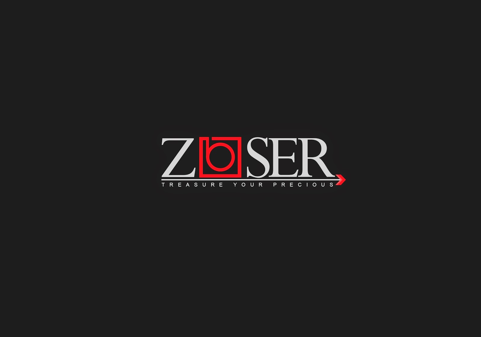 jaydhar: Logo Ideas for Zoser - a watch winder company