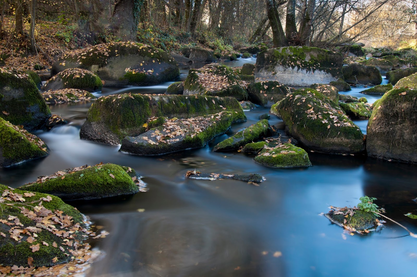 OBJECTIF IMAGE 85: Sortie photo "pose longue"