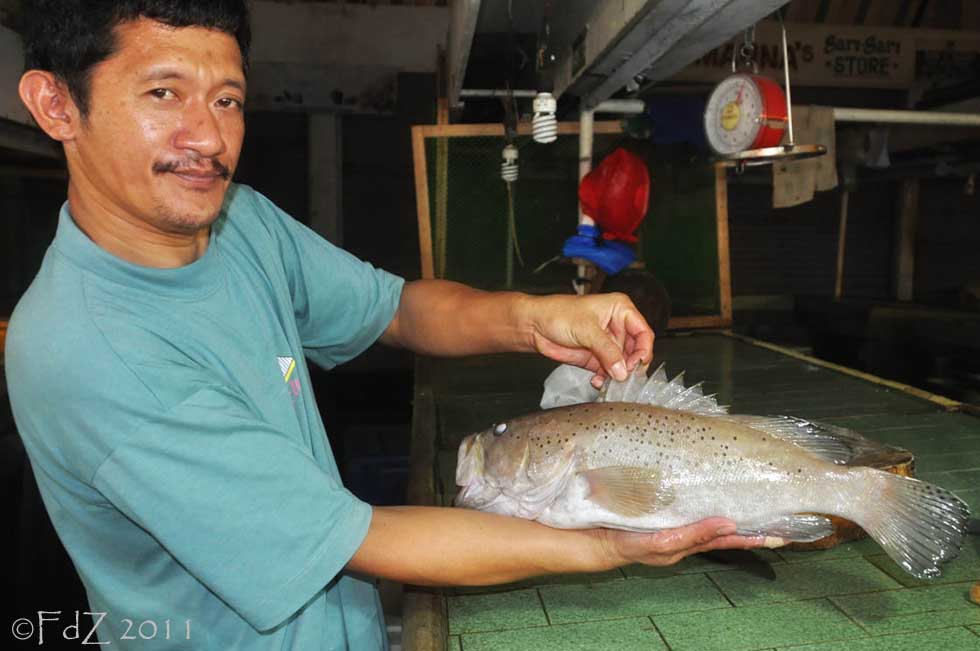 View thru My Global Lens: September 2011