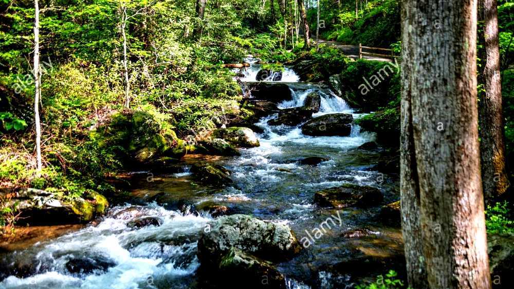 Chattahoochee-Oconee National Forest