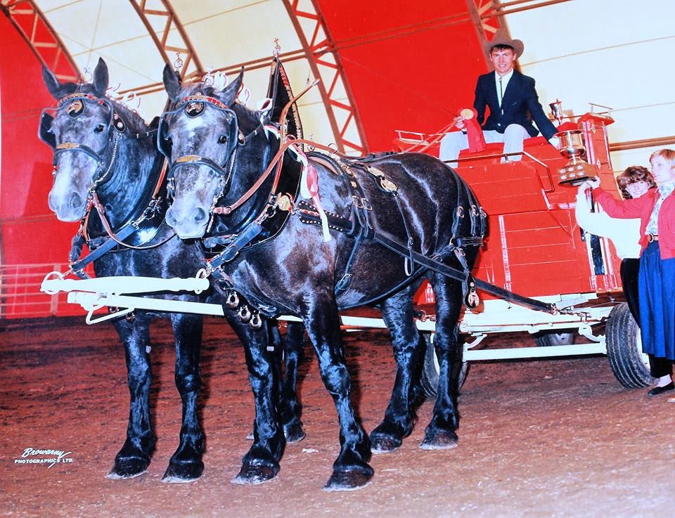 Eaglesfield Percherons: Gentle Giants $100,000 Invitational North ...