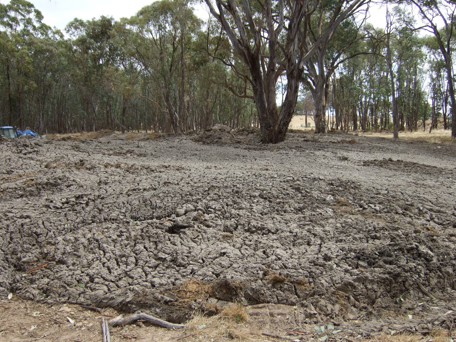 K T 's Farm Life: Mud Glorious Mud!