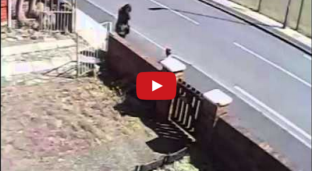 Guy Fails at Trying to Impress Girl by Jumping Over Wall