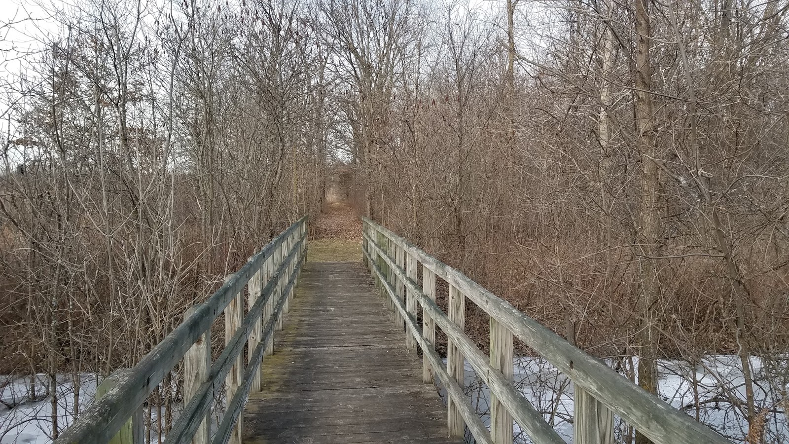 Wilderness Wanderings: Crosswinds Marsh