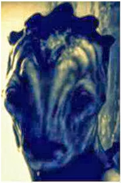 Para Pensar....: A.R.B (Alien Races Book)