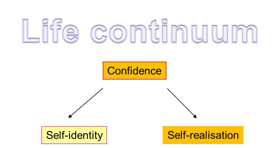 PHARMACEUTICALS AND HEALTHCARE: Training continuum