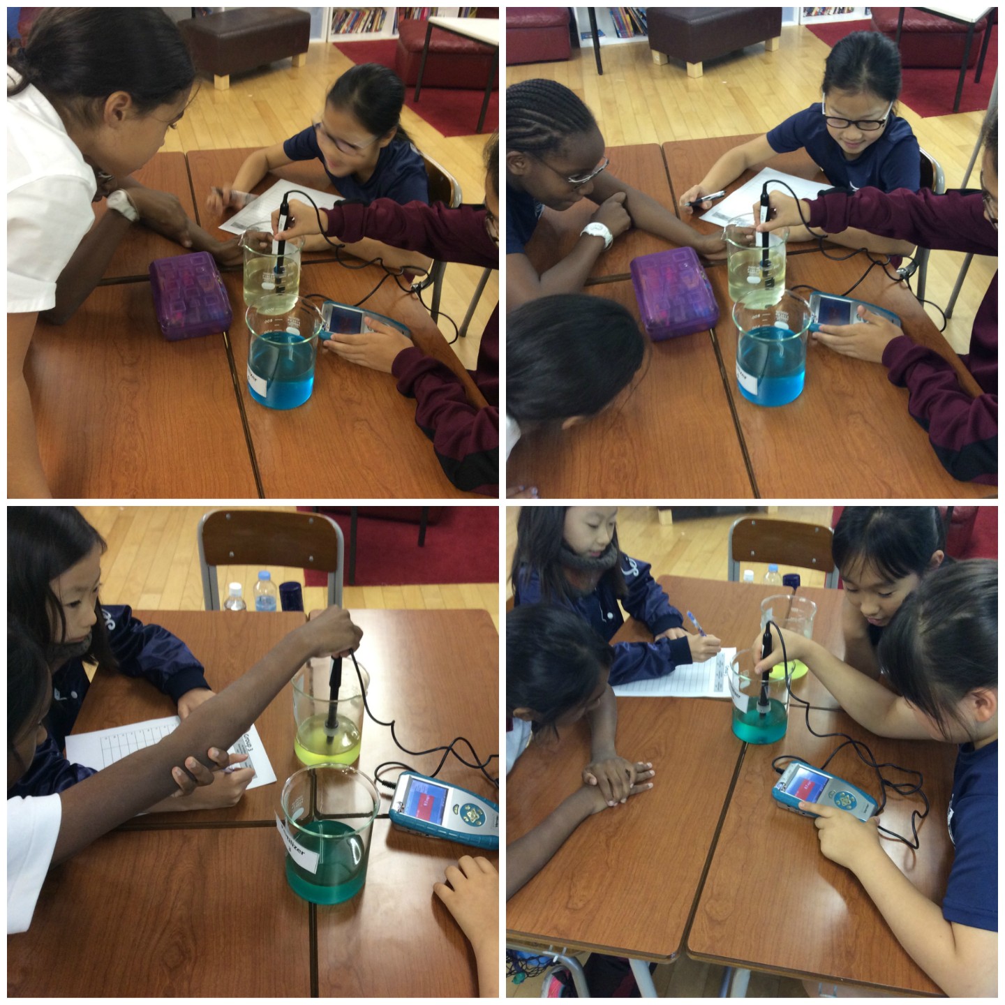 Grade Five: Science in the PYP