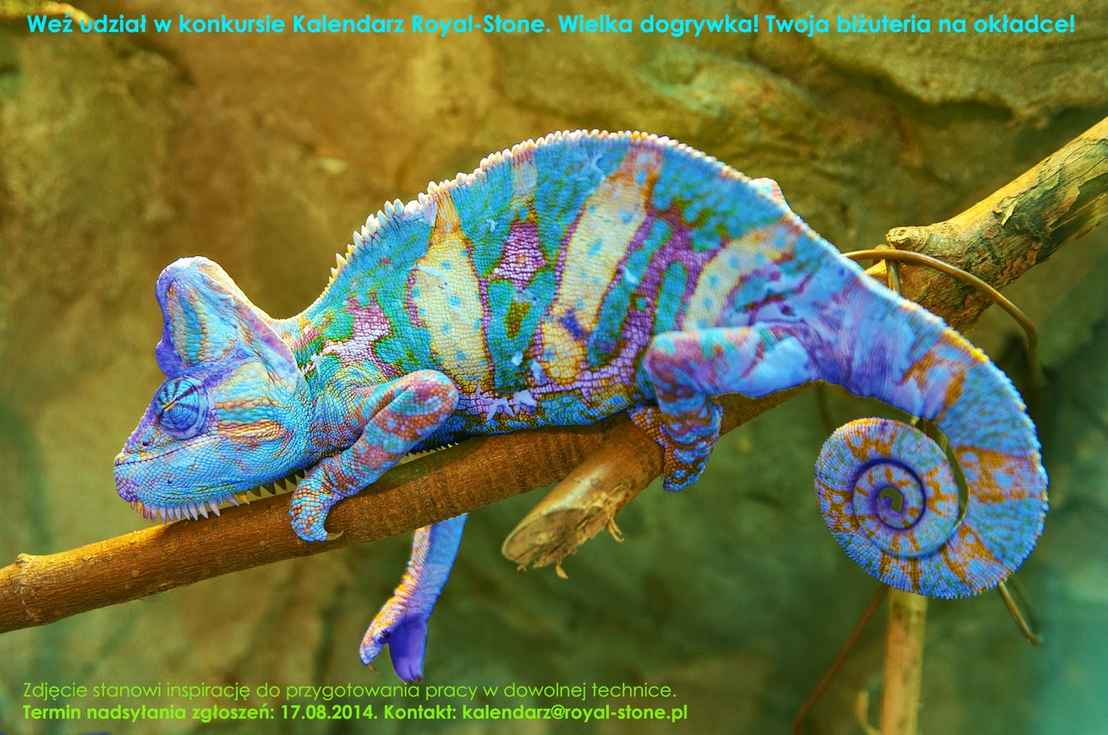 ArtAnki: Pojawiam się i znikam, czyli... KAMELEON SUPER!