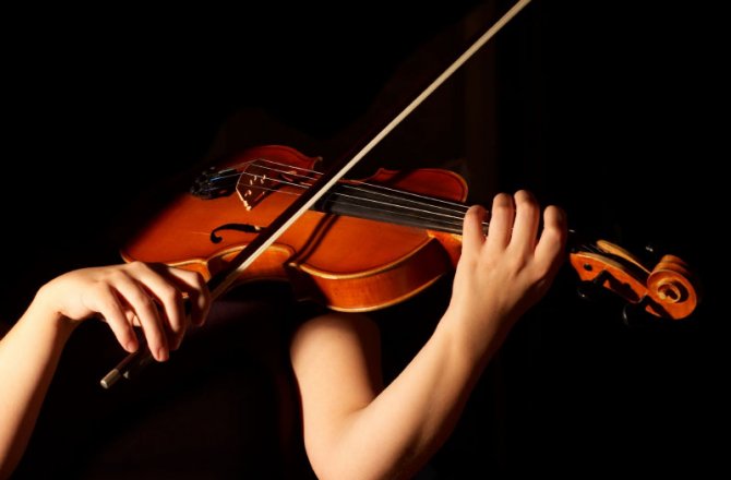 El Cassette.com: Los 10 datos curiosos del Violín