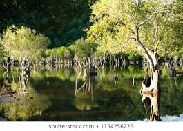 Lagoa Masin Maubara ~ Turismu Municipio Liquica