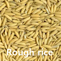 오늘 국제 벼 (나락, 쌀) 가격 그래프 : 1 흔드레드웨이트( 1 CWT = 약 45.4 kg) / 달러, CME CBOT ...