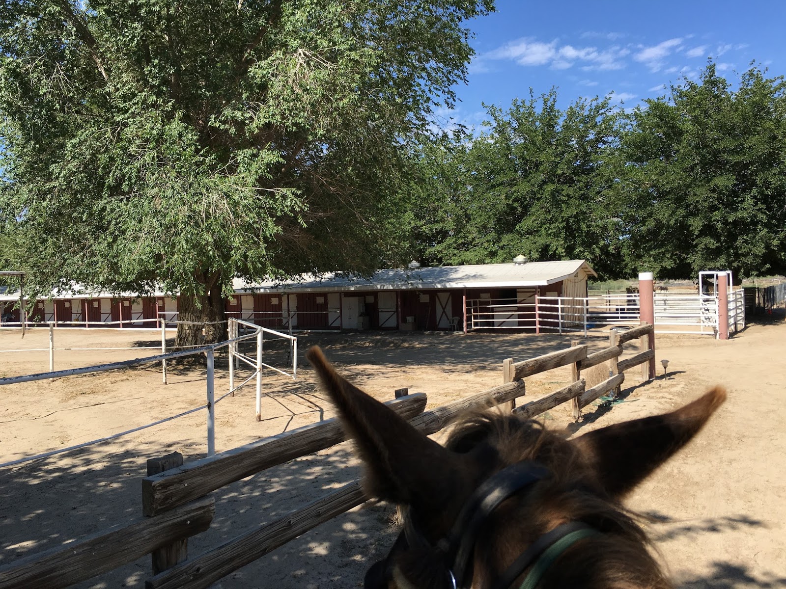 MuleTrail: 2016/6/4 Roy Rogers Ranch Ride