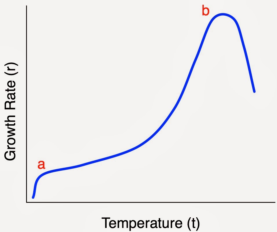more on exponential growth - 109 workshop 5