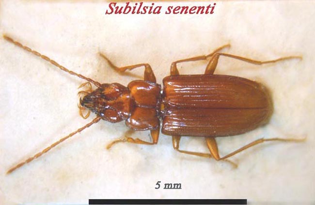 espeleobloc: Expedició Atlas 2012 (2)