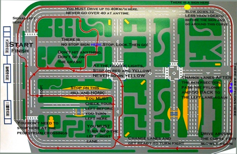 Figuring Things Out: For A Driver's License