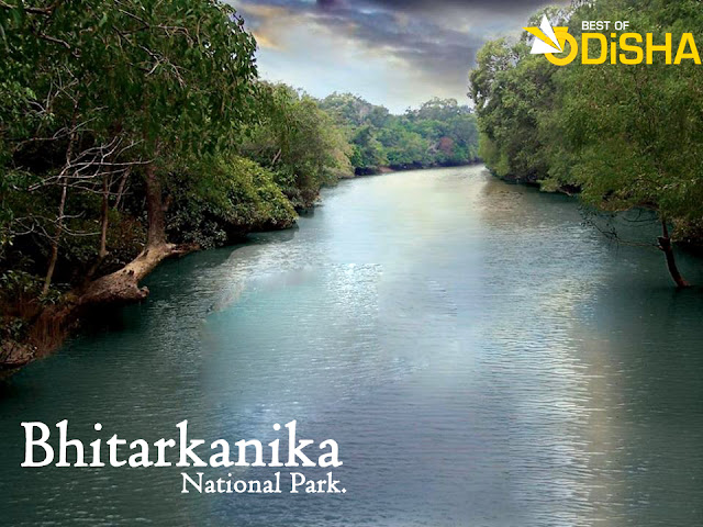 Bhitarkanika National Park - BEST OF ODISHA