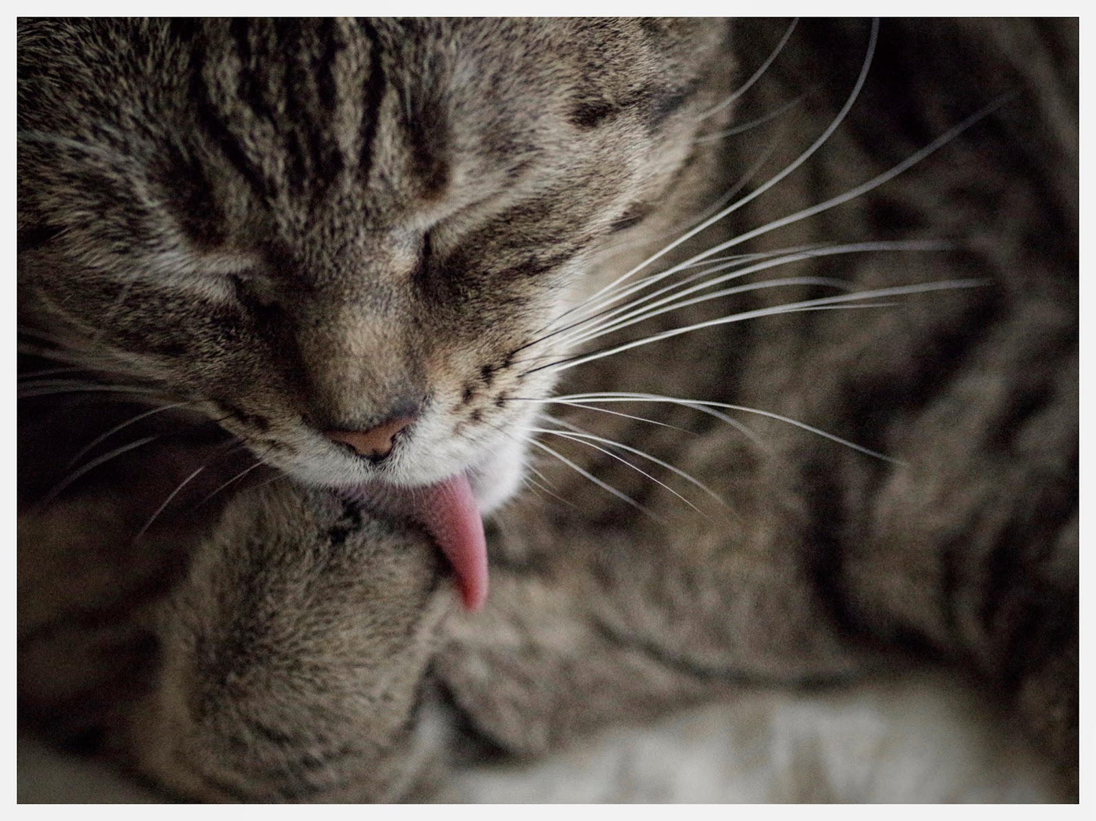 Wanda Martin Photography