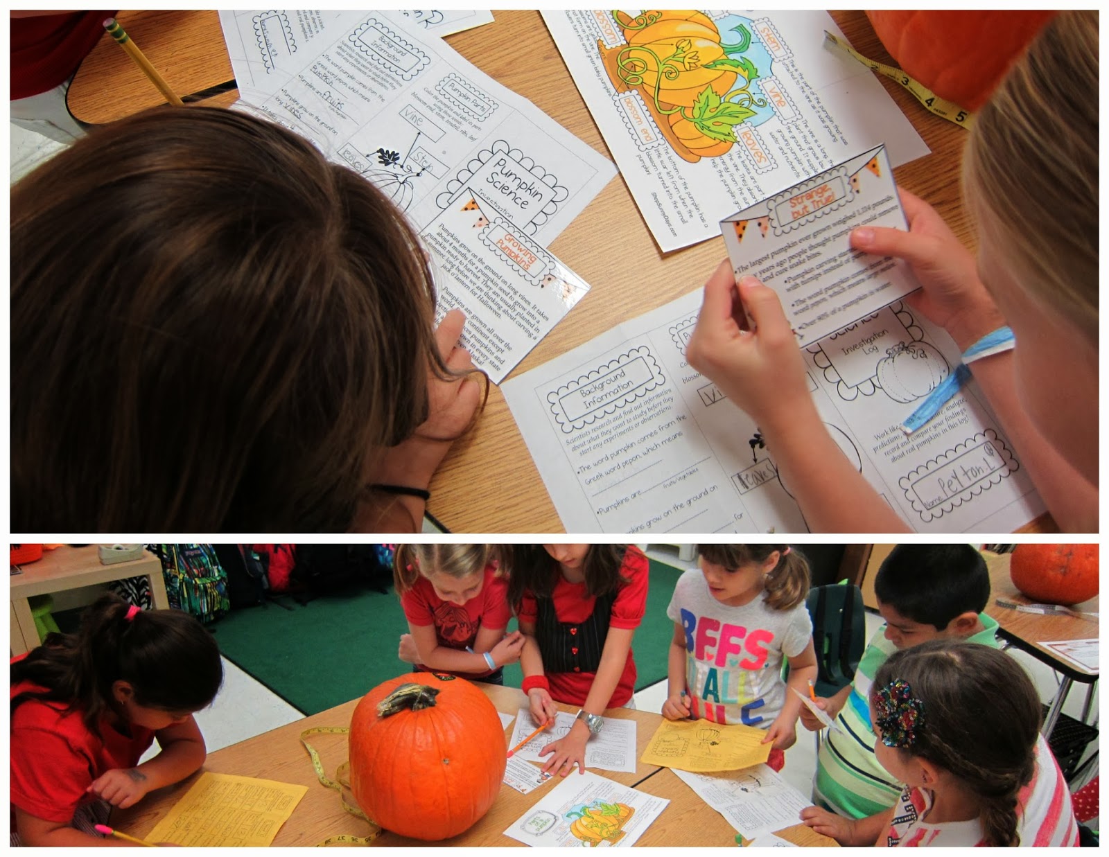 Plan for Pumpkins - It's Not Too Late! - Sunny Days in Second Grade