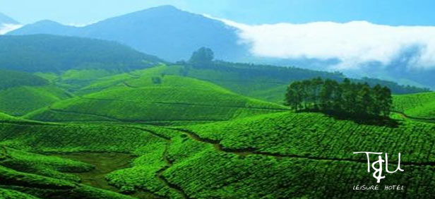 T & U Leisure Hotel: The Tata Tea Museum in Munnar - Top Attractions in ...