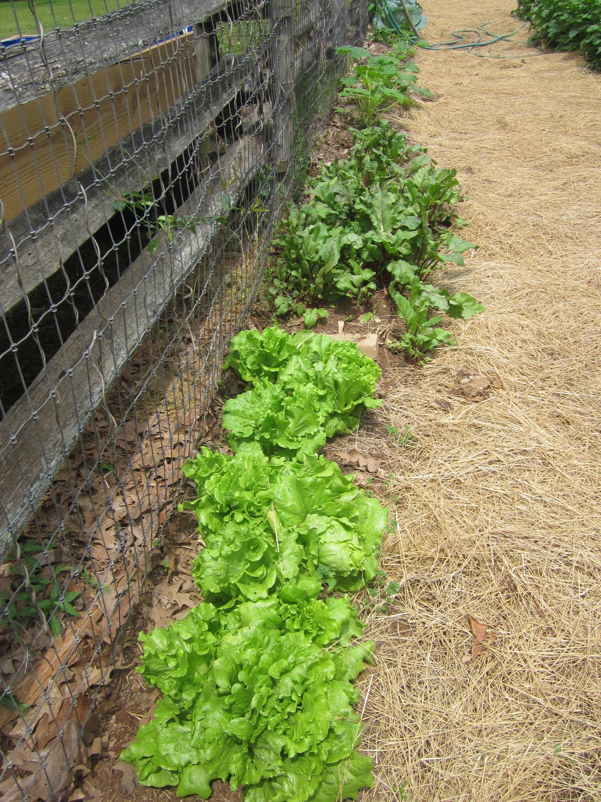 McCoy Farm and Folk Art: 2017