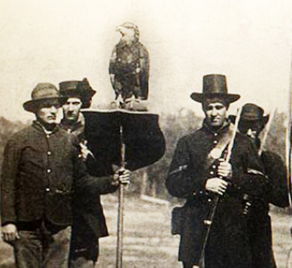 Civil War Quilts: Old Abe the Eagle