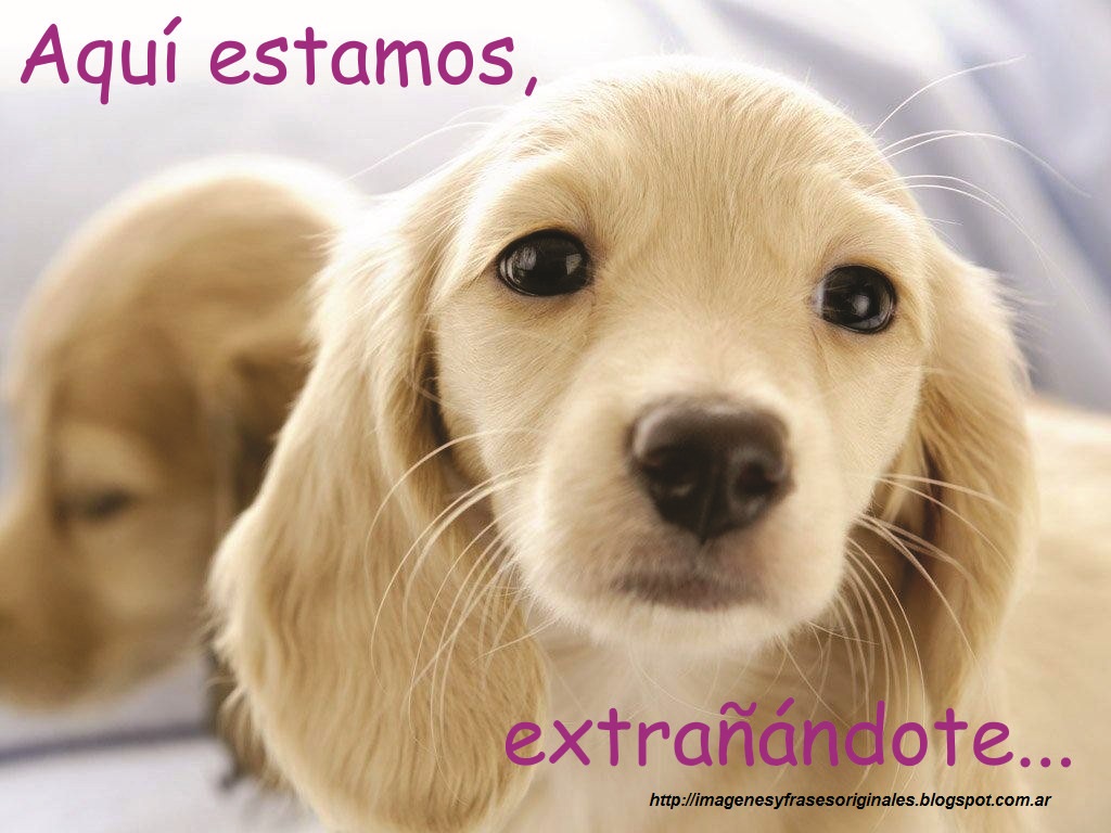 Imágenes y Frases para Ti.: Aquí estamos, ...extrañándote.