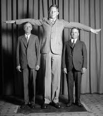 Difficult People: World's tallest man by Guinness World Records’s till ...