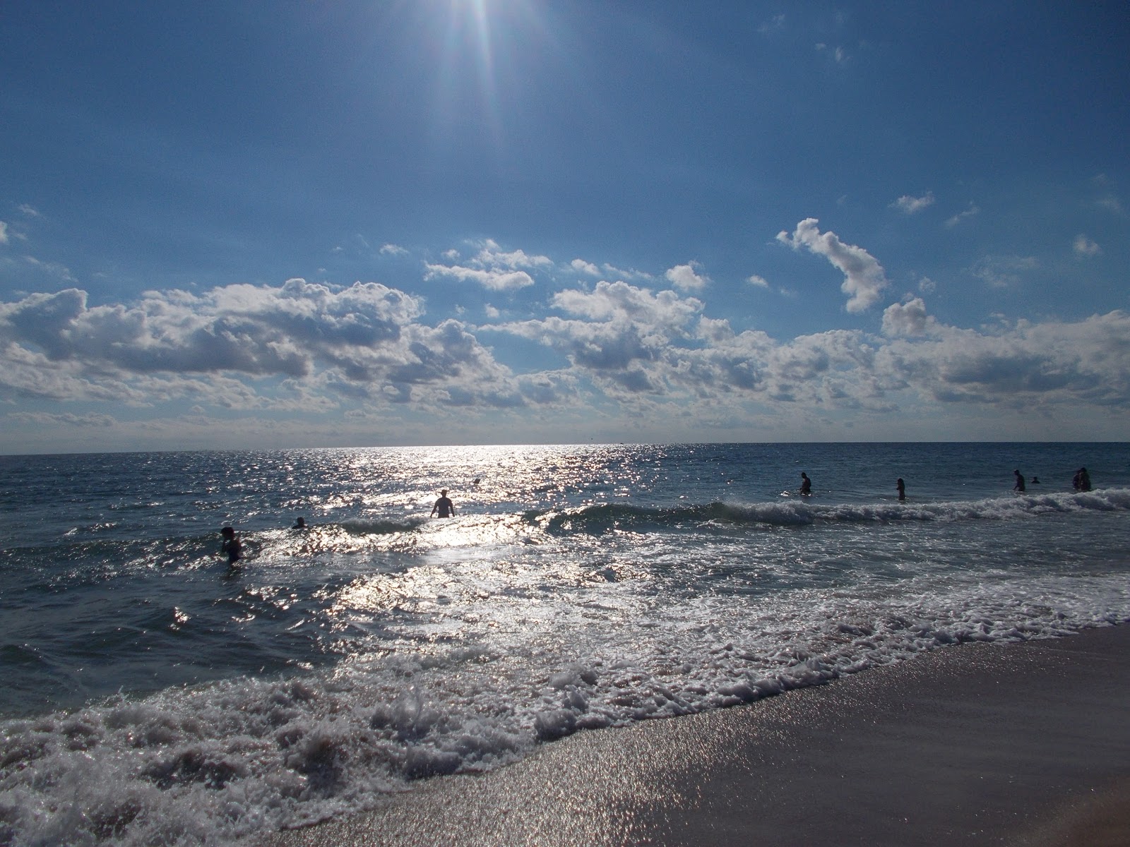 Floarea -bunica: Marea Neagra