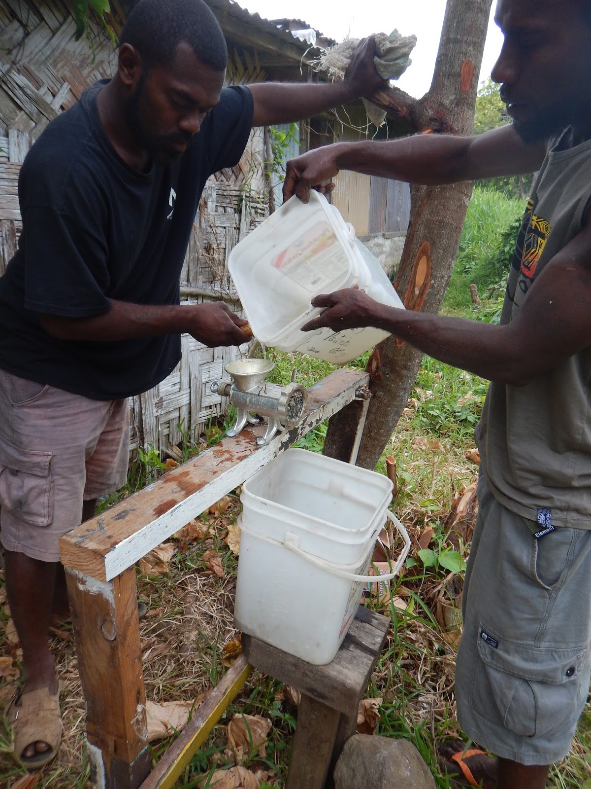 'Venturing in Vanuatu: Kava: That Most Magical Drink