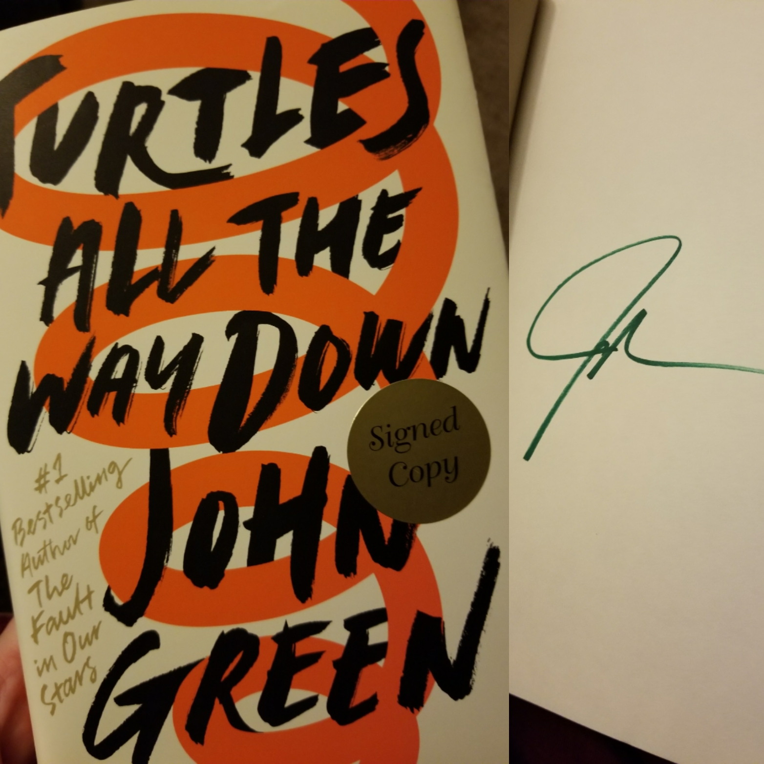 Turtles All the Way Down —John Green