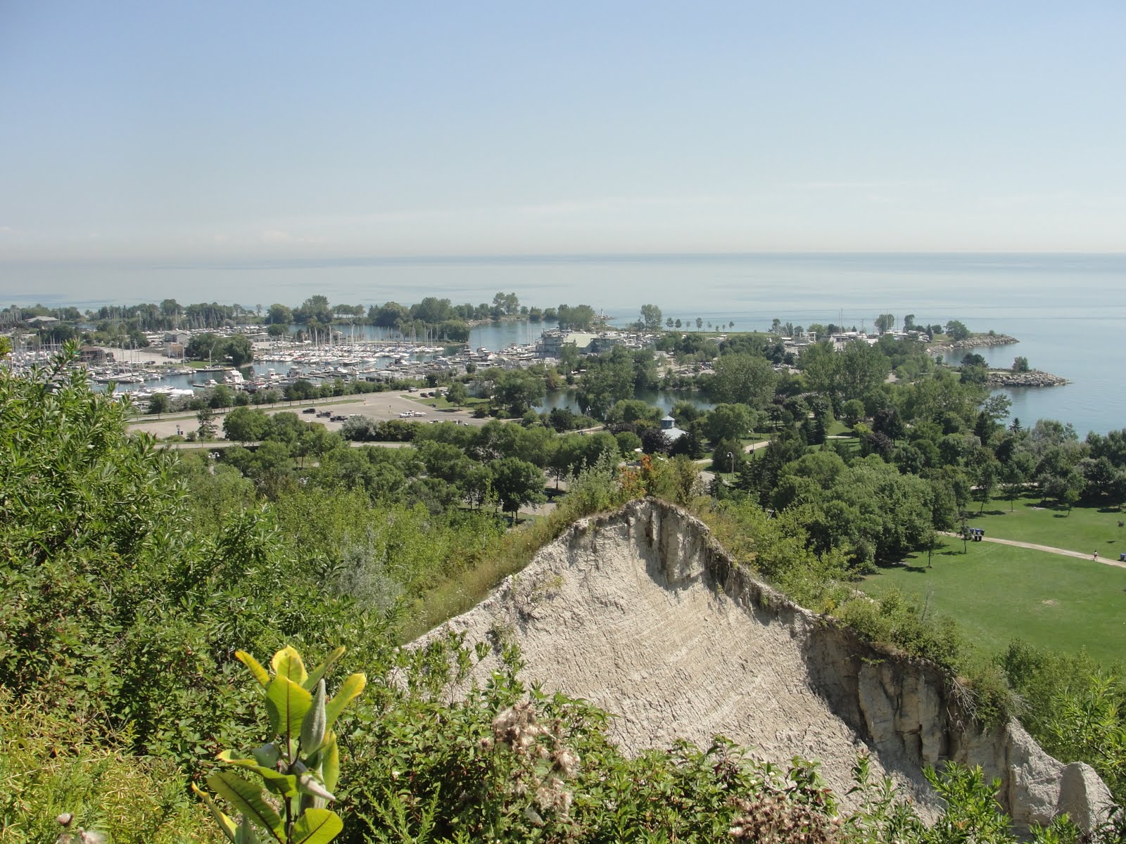 Northern Gaijin 北外人: Restaurant review: Bluffer’s