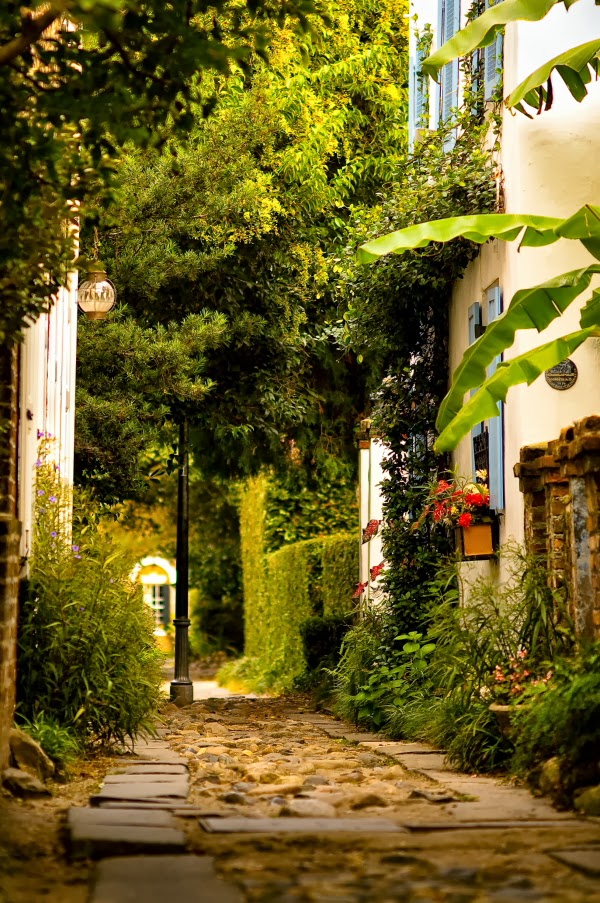 Doug's Photo Blog: Tropical Alley